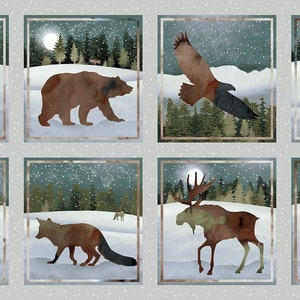 Quilt Kit - Step Into Moonlight Quilt Kit With Henry Glass Fabrics ...