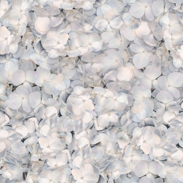 Hydrangea Fabric - Etsy