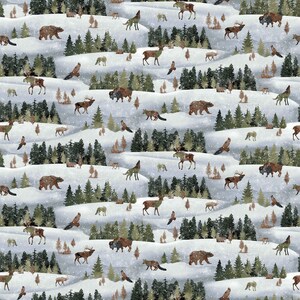 Quilt Kit - Step Into Moonlight Quilt Kit With Henry Glass Fabrics ...