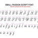 Small Passion Cursive Script Font-personalize a Phrase or Name-iron on ...