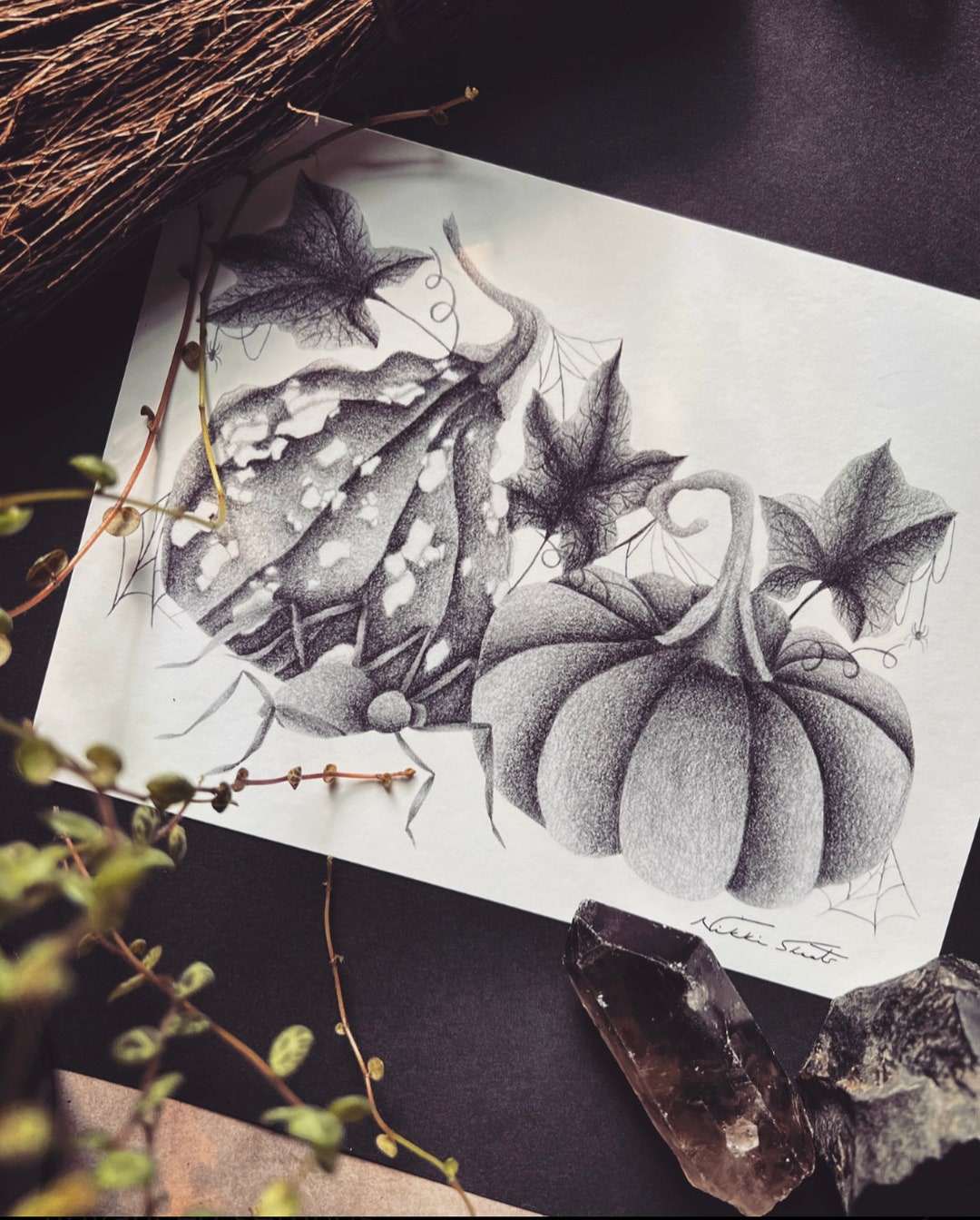 Pumpkin, Spider, Pumpkin Art, Spider Art, Halloween, Pumpkin Drawing ...