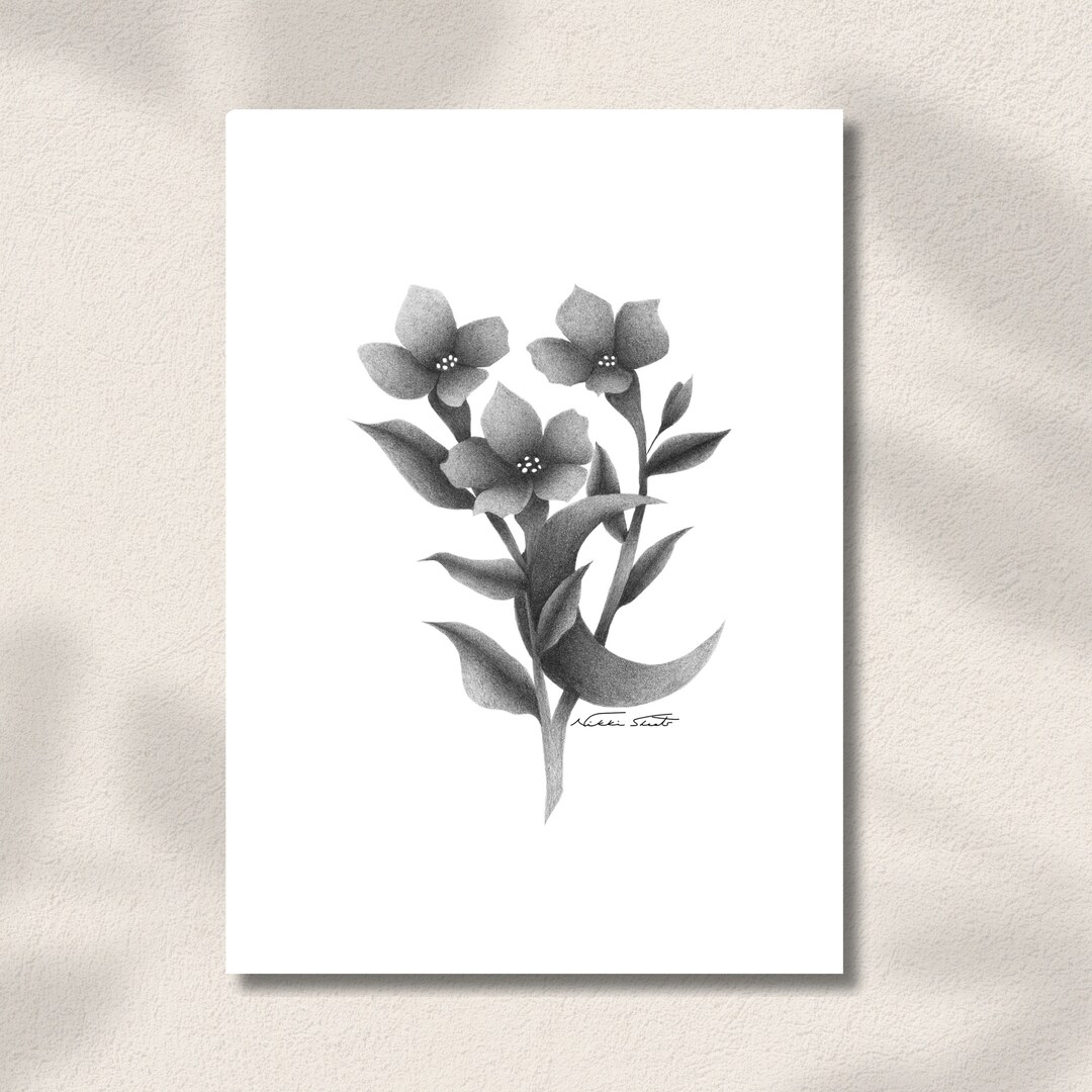 Flower, Moon, Art, Flower Drawing, Pencil Art, Moon Art, Flower Moon ...