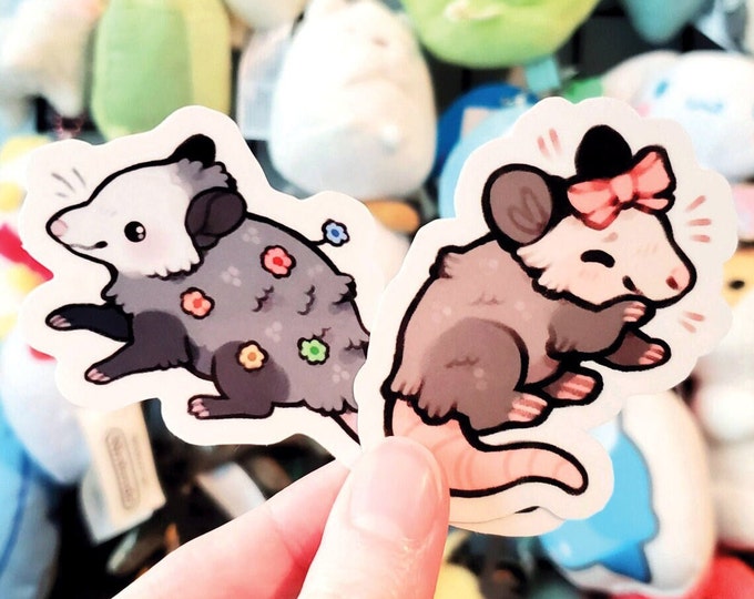Opossum Sticker Set of 2 / Opossum Blossom and Pretty Possum / - Etsy