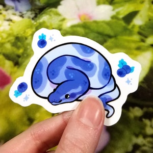 Fruit Salad Snakes Sticker Set / Cute Ball Python Stickers / - Etsy