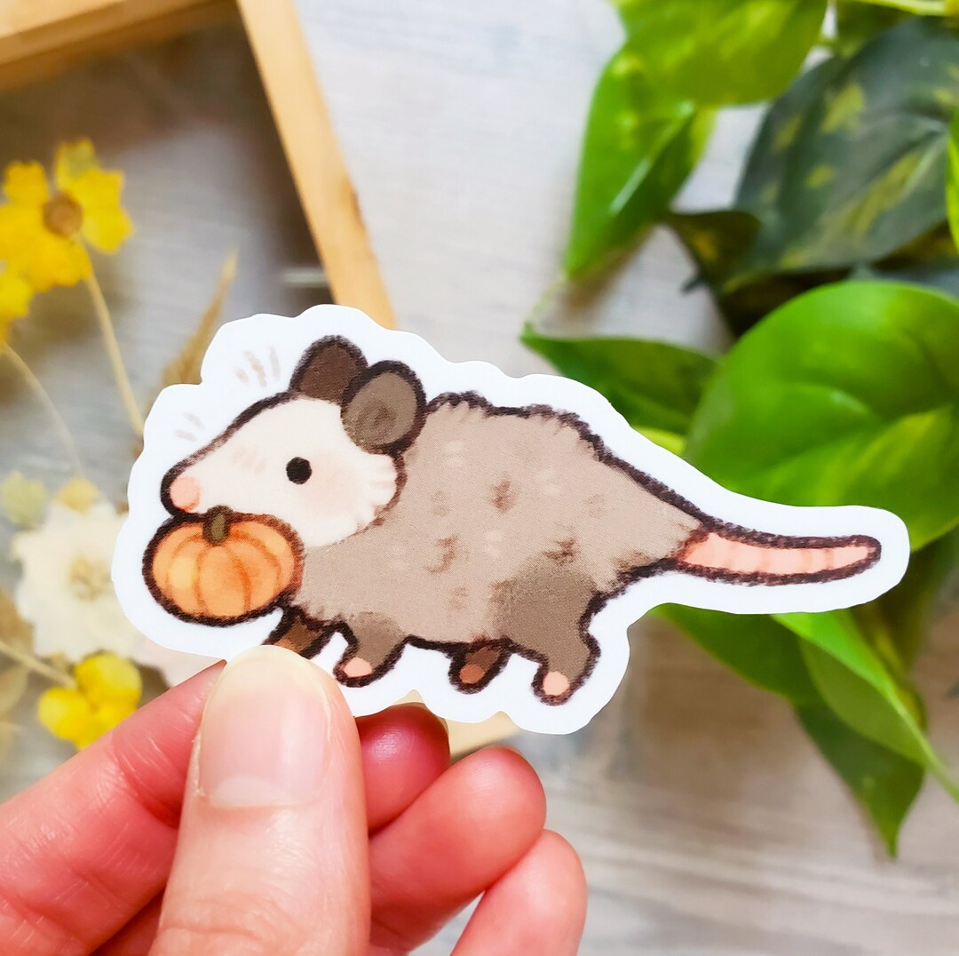Pumpkin Possum Sticker, Gift for Possum Lover Sticker, Cute Halloween ...