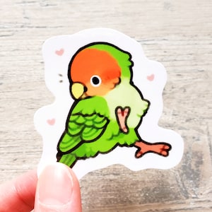 Dancing Birds Sticker Set Pack: Cockatiel, Budgie, Lovebird / Cute Bird ...