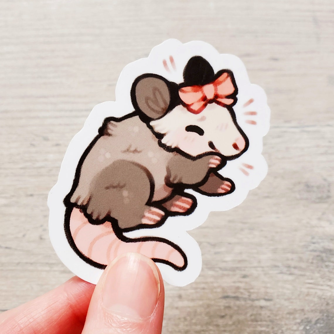 Pretty Opossum Sticker / Cute Possum Stickers / Cute Animal - Etsy