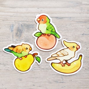 Fruit Salad Bird Sticker Set / Cockatiel Sticker / Bird Lover Water ...