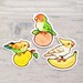 Fruit Salad Bird Sticker Set / Cockatiel Sticker / Bird Lover - Etsy