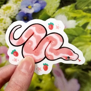 Fruit Salad Snakes Sticker Set / Cute Ball Python Stickers / - Etsy