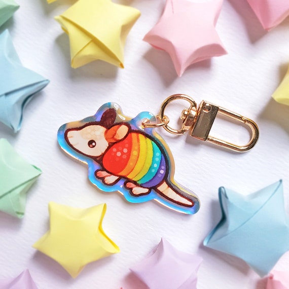 Rainbow Armadillo Acrylic Keychain / 2in Double-sided Rainbow - Etsy