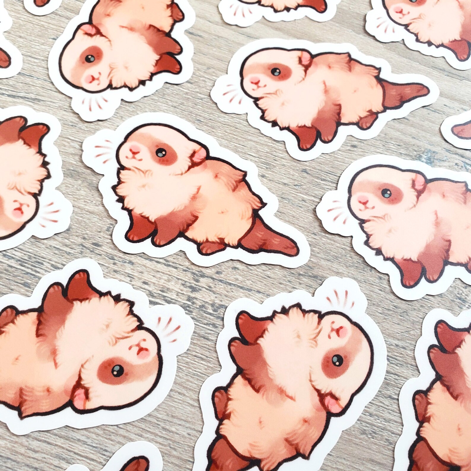 Fluffy Ferret Sticker / Cute Animal Sticker / Ferret Gift / - Etsy