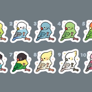 Dancing Birds Sticker Set Pack: Cockatiel, Budgie, Lovebird / Cute Bird ...
