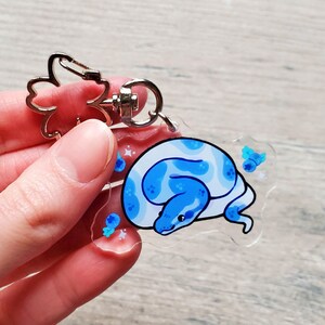 Fruit Salad Snake Charms / Cute Ball Pythons / 2in / Double - Etsy