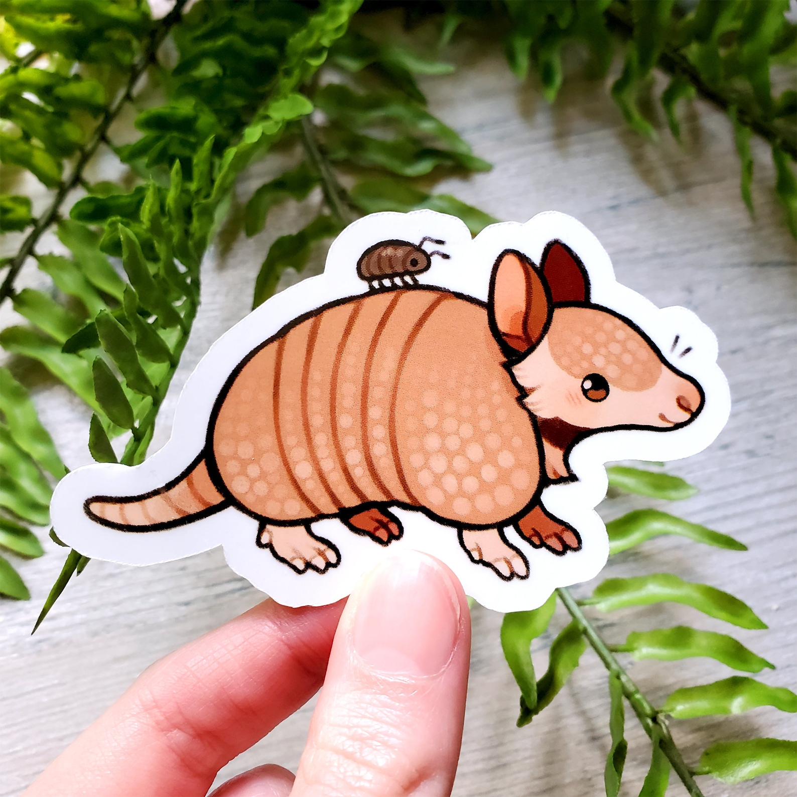 Matching Shell Squad Sticker / Armadillo Sticker / Rolly Polly Sticker ...