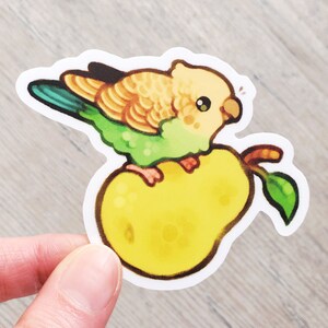 Fruit Salad Bird Sticker Set / Cockatiel Sticker / Bird Lover Water ...