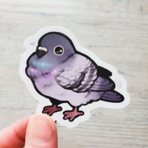 Fluffy Pigeon Sticker / Bird Water Bottle Sticker / Cute Bird Laptop ...