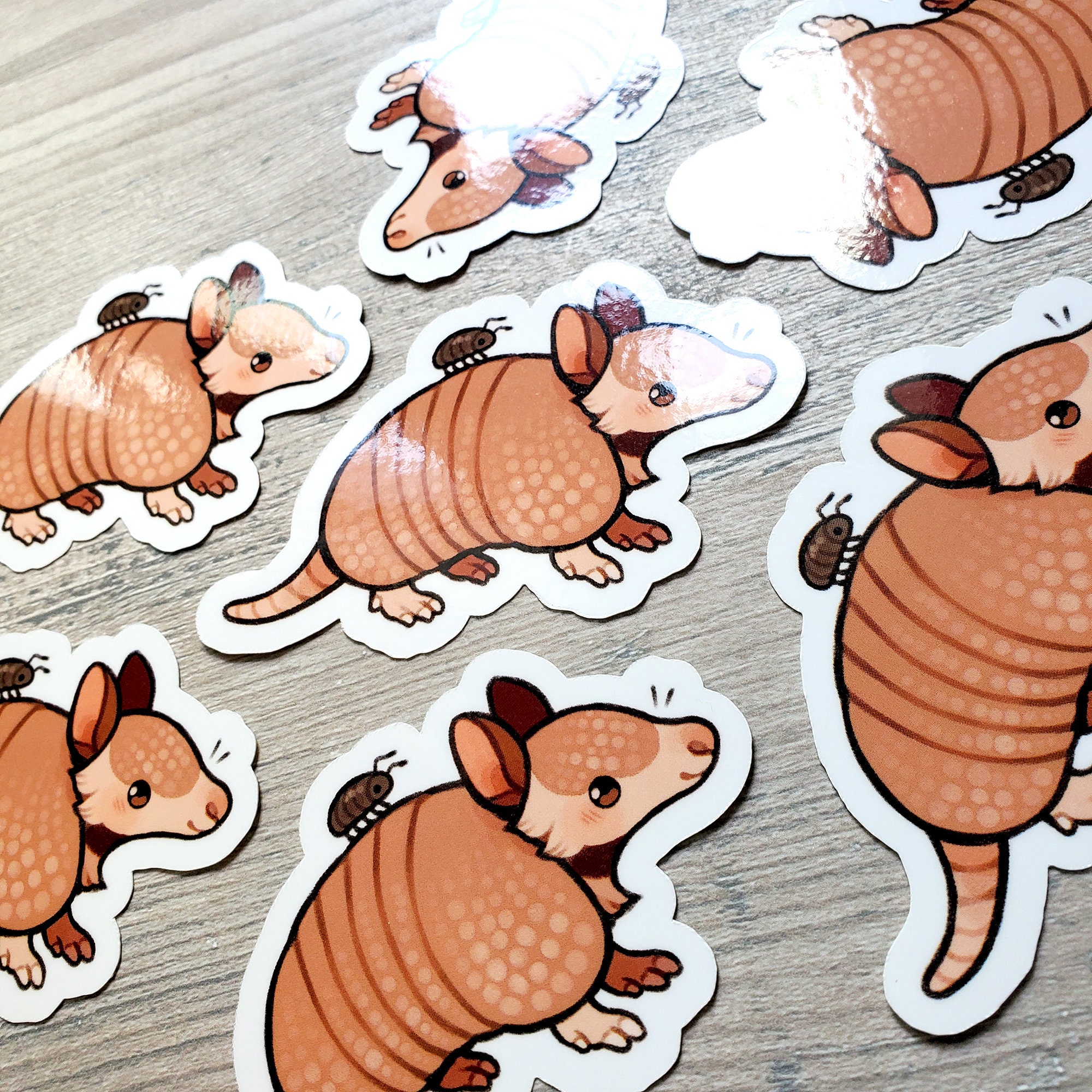 Matching Shell Squad Sticker / Armadillo Sticker / Rolly Polly | Etsy