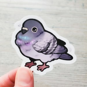 Fluffy Pigeon Sticker / Bird Water Bottle Sticker / Cute Bird Laptop ...