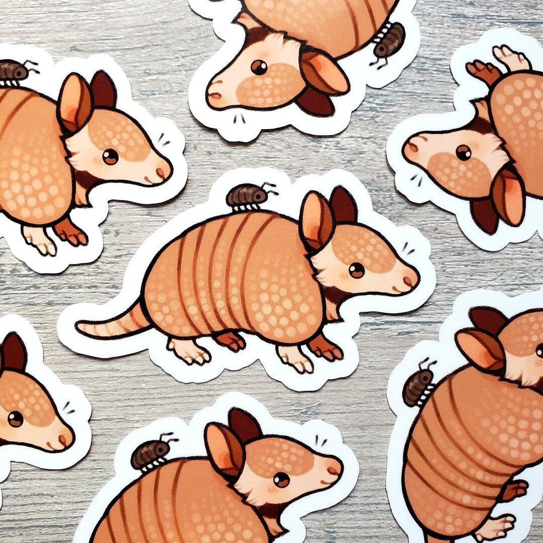 Matching Shell Squad Sticker / Armadillo Sticker / Rolly Polly - Etsy