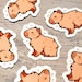 Croc Dog Sticker / Shiba Inu Sticker / Puppy Sticker / Animal - Etsy