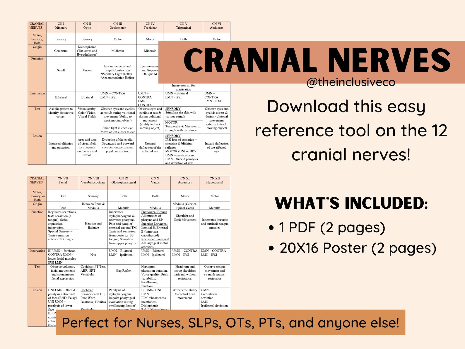 Cranial Nerves Reference Sheet/table/study Guide - Perfect for Slps ...