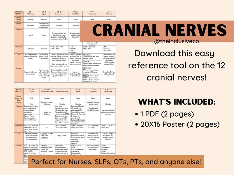 Cranial Nerves Reference Sheet/table/study Guide - Perfect for Slps ...