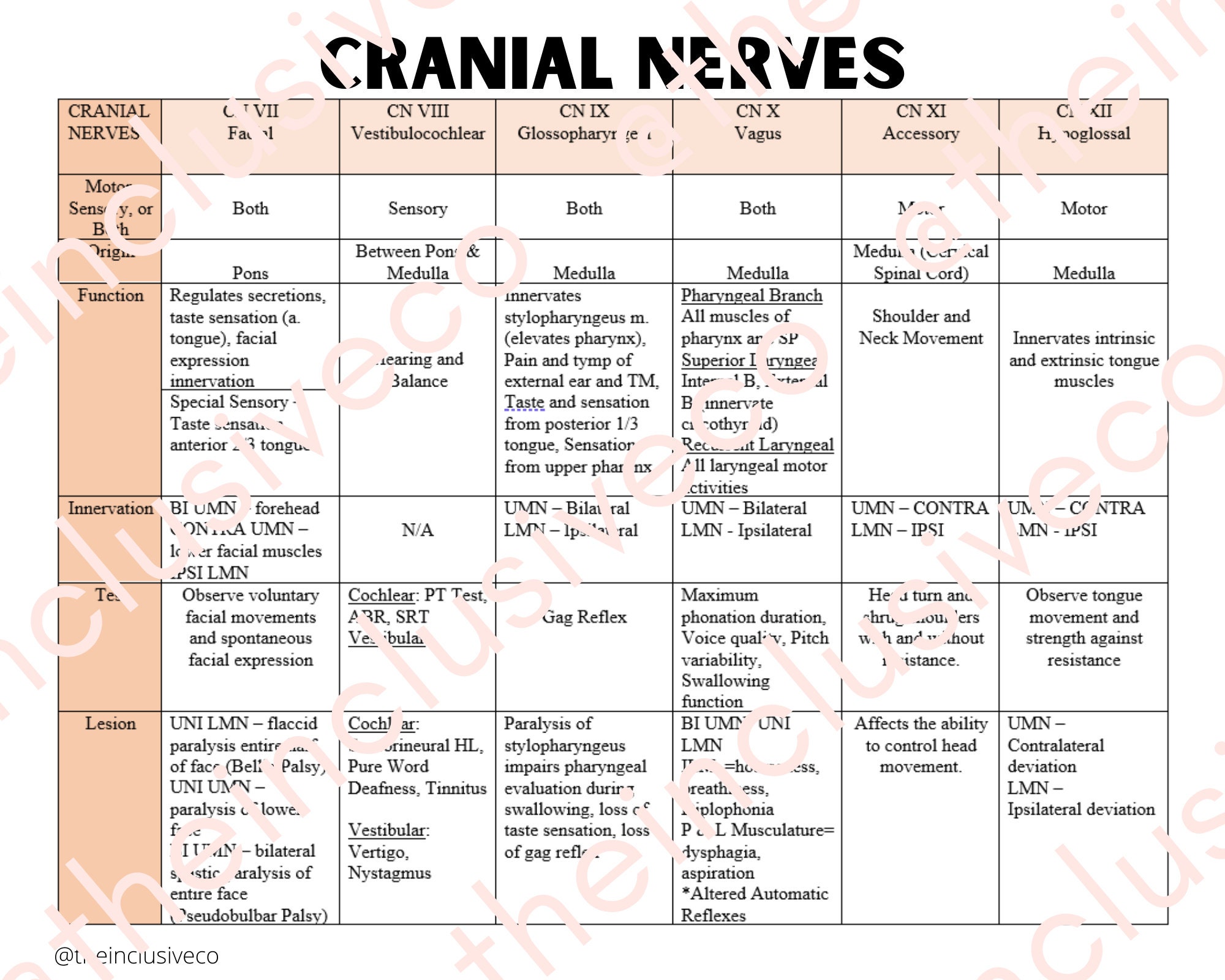 Cranial Nerves Reference Sheet/table/study Guide - Perfect for Slps ...