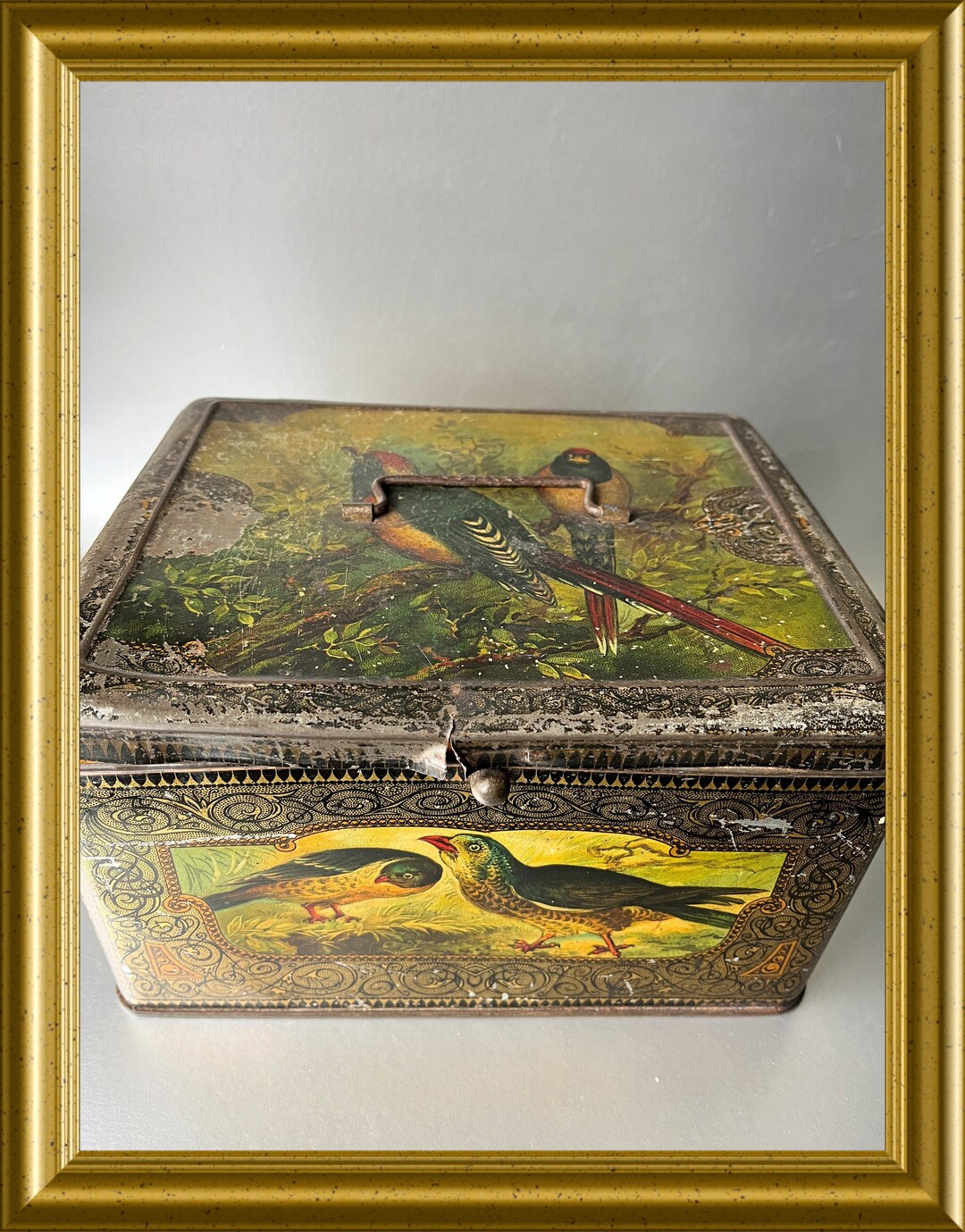 Antique Tin: Birds - Etsy