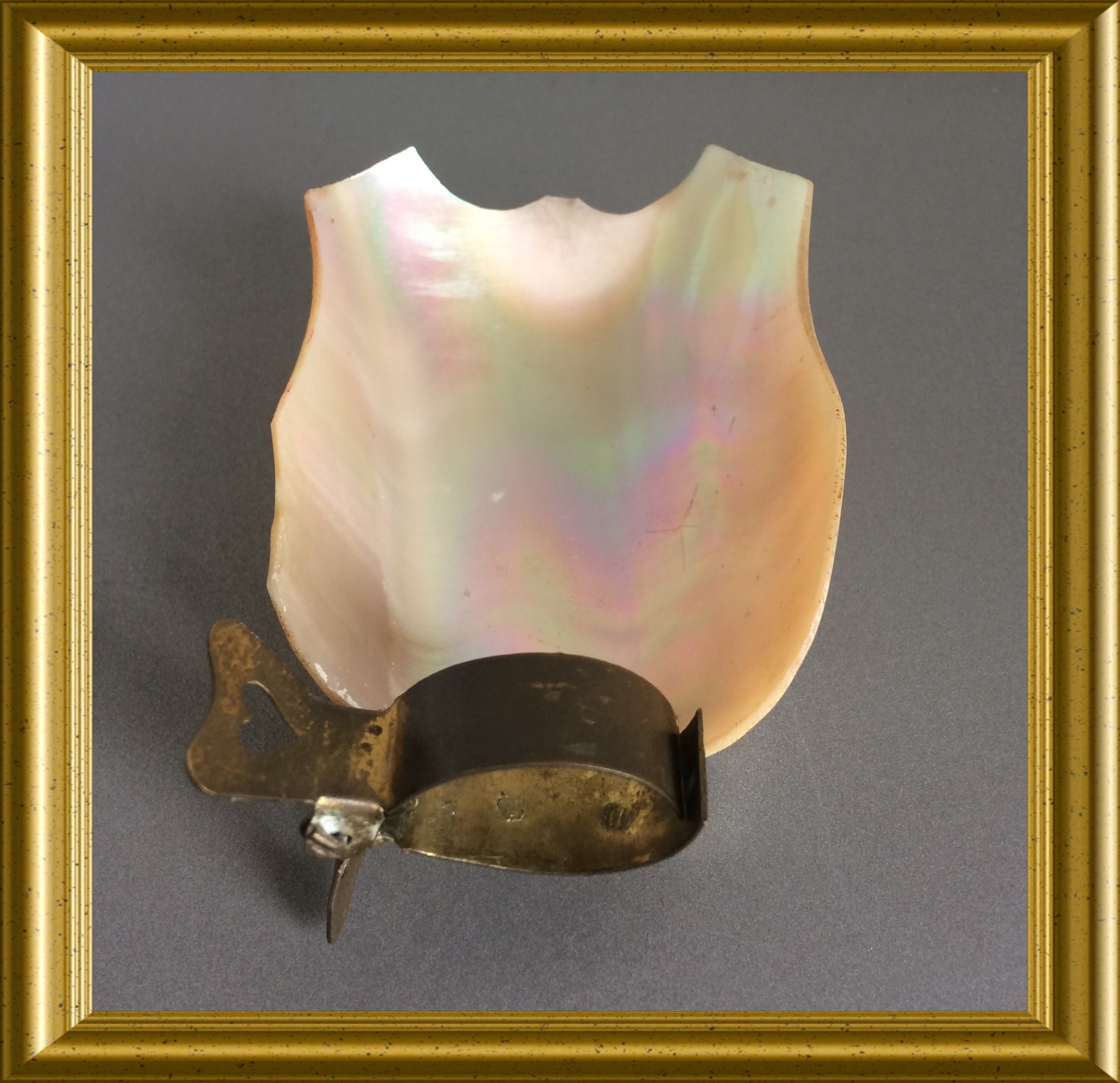 Antique candle shield, carved shell, mother of pearl