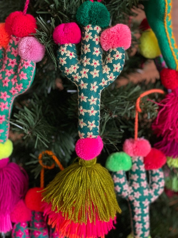 Mexican Christmas Tree Cactus