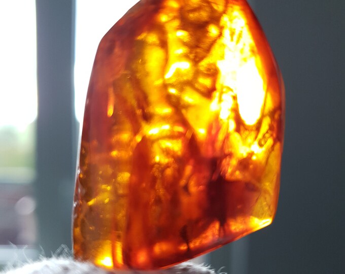 6 Gram Natural and Genuine Baltic Sea Amber Specimen Healing Amber ...