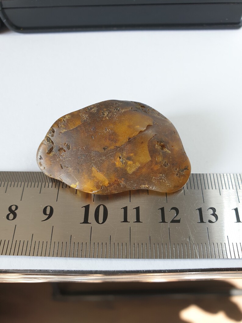 Baltic Amber Specimen, Collectors Gemstone (7.7 Gram) - Etsy