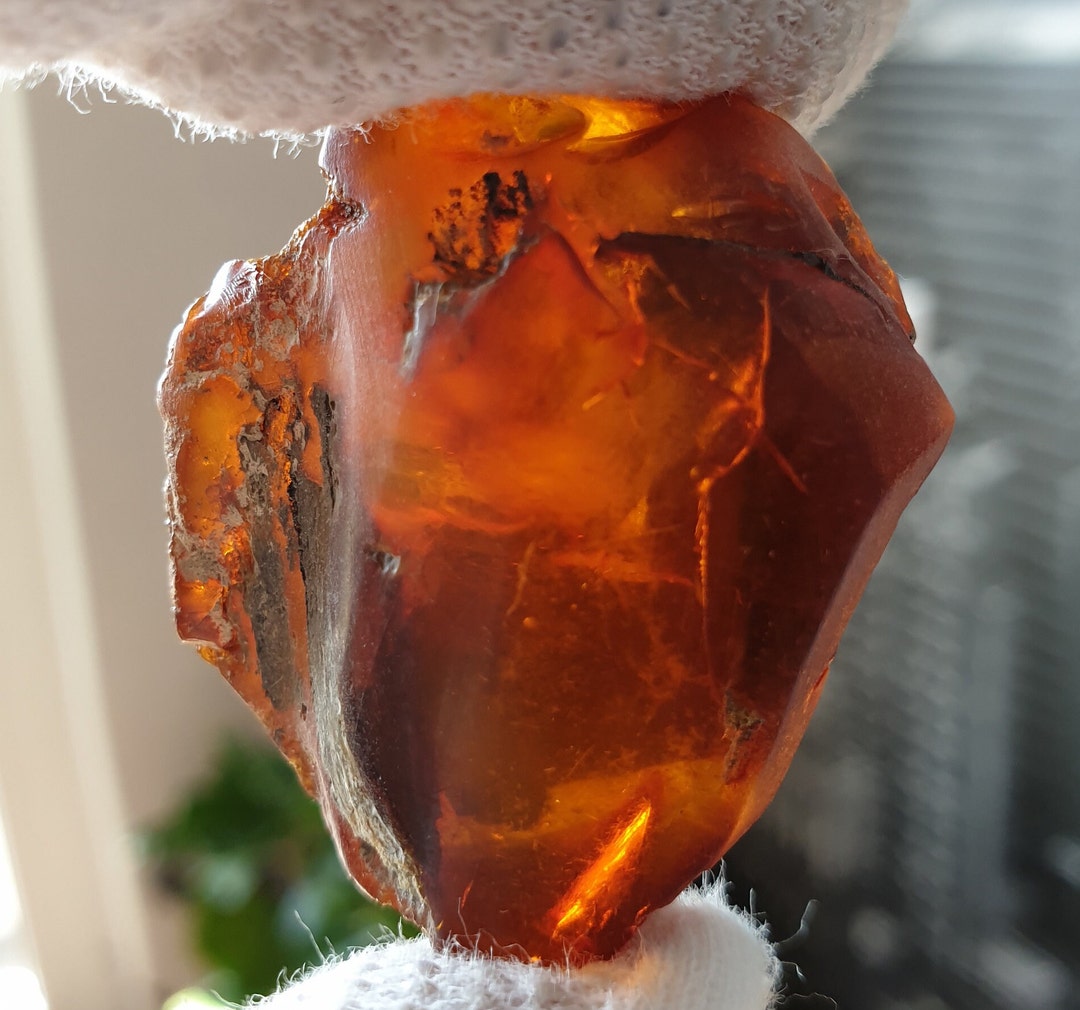 Baltic Amber Specimen: Natural Tumbled Healing Stone (10.6 Grams) - Etsy