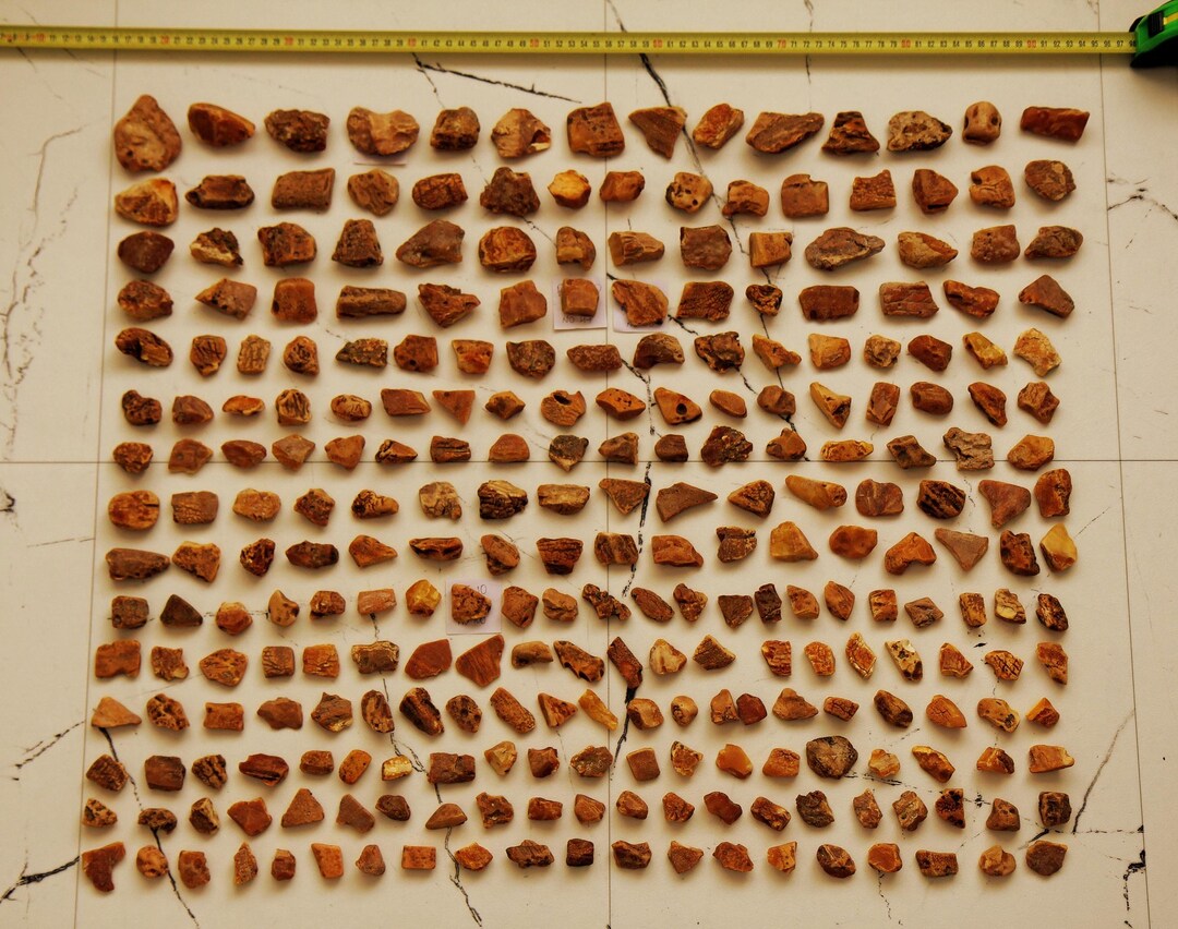 White Baltic Amber Collection – Rare Gemstone Lot, 1846 Grams, Raw ...