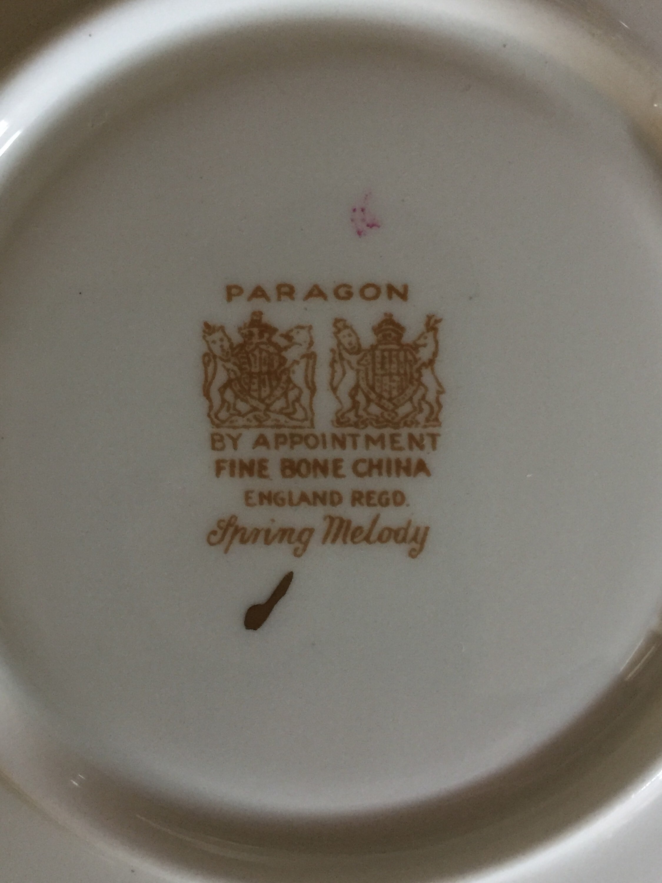 Cheerful Spring Melody Tea Cup and Saucer Set by Paragon - Etsy