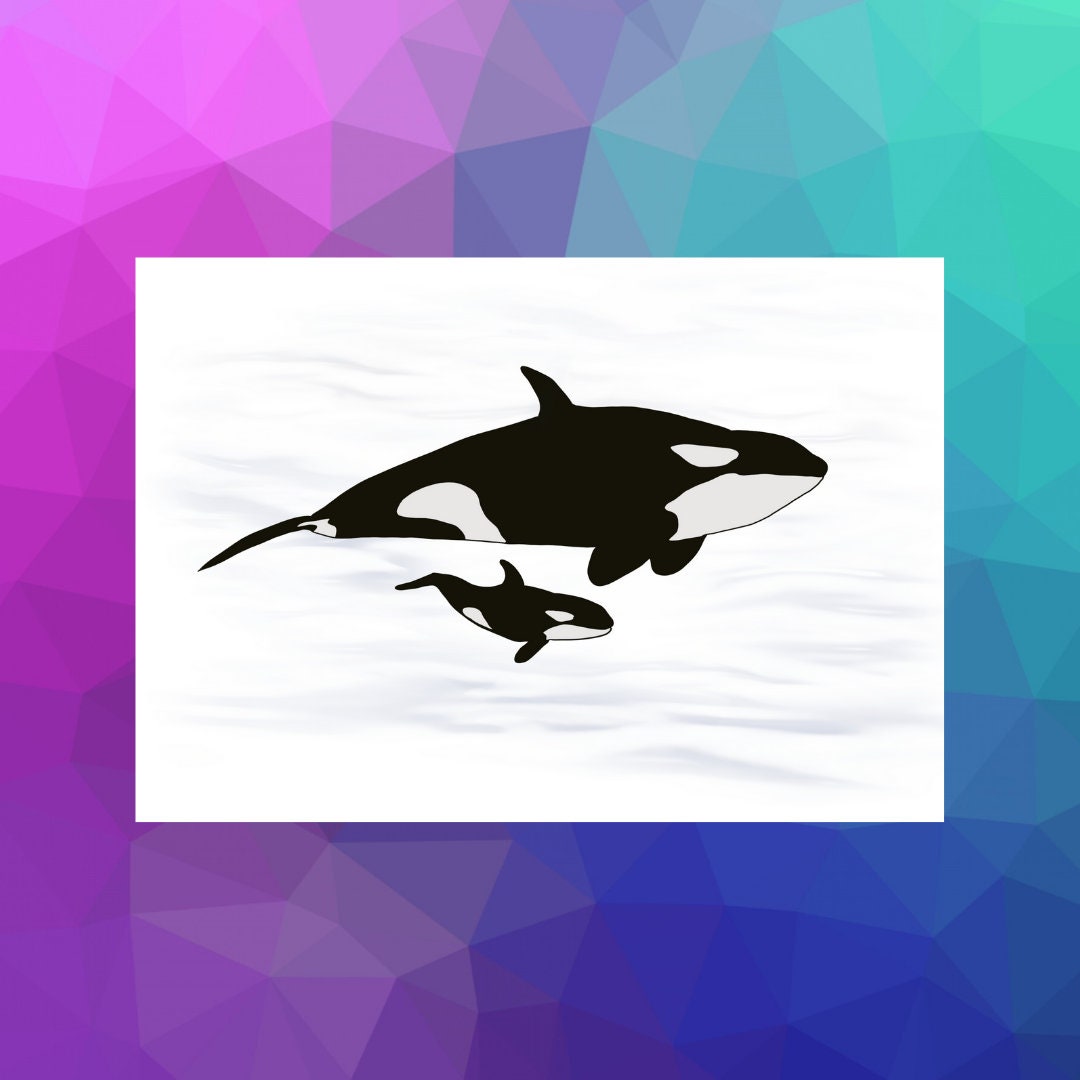 Printable Orca Whale
