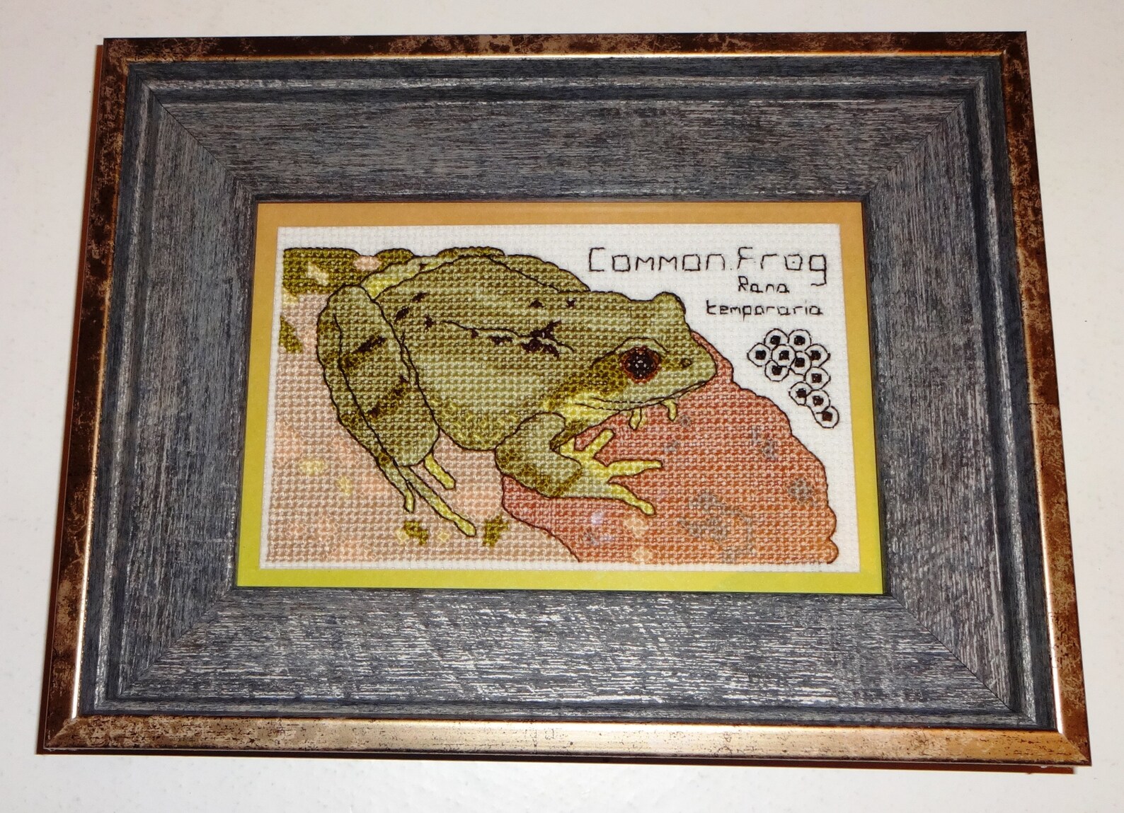 Common Frog Modern Counted Cross Stitch Pdf Pattern Chart Download 6" X ...