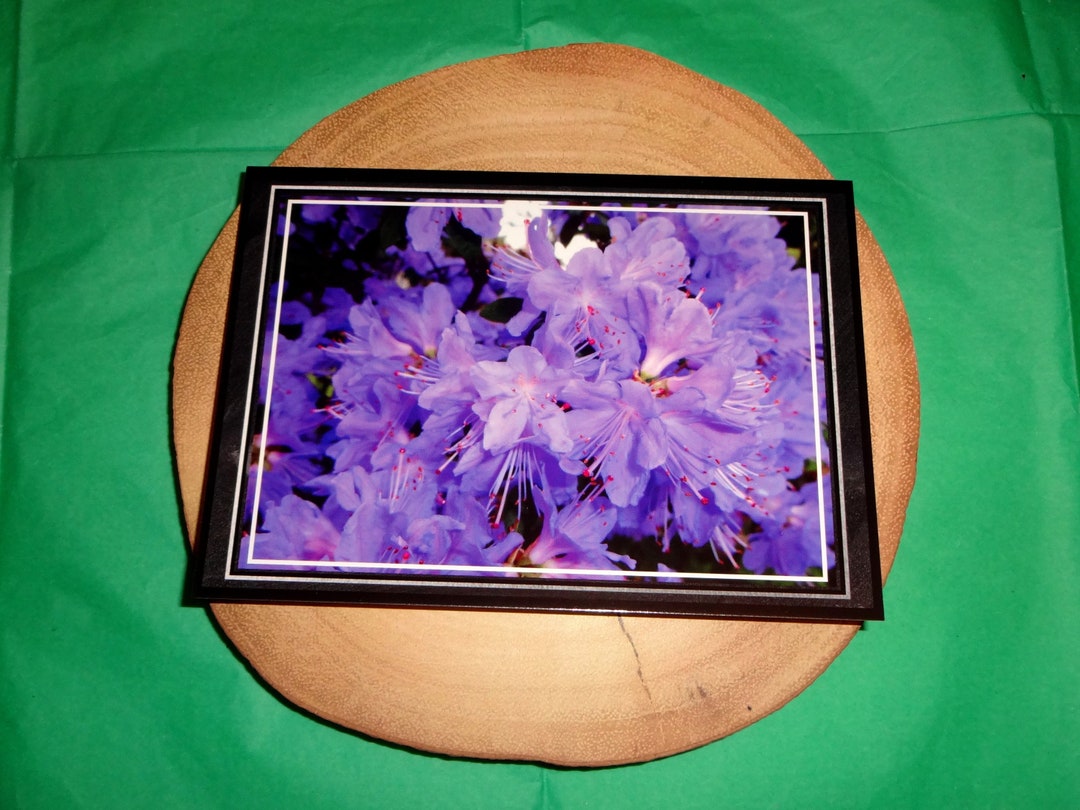 Purple Azalea Flower Photo Blank Greetings Card Notelet 7” X 5” 17.8cm ...