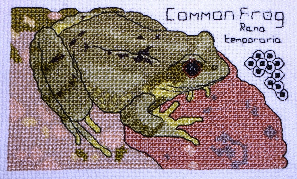Common Frog Modern Counted Cross Stitch Pdf Pattern Chart Download 6" X ...