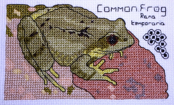 Common Frog Modern Counted Cross Stitch Pdf Pattern Chart - Etsy