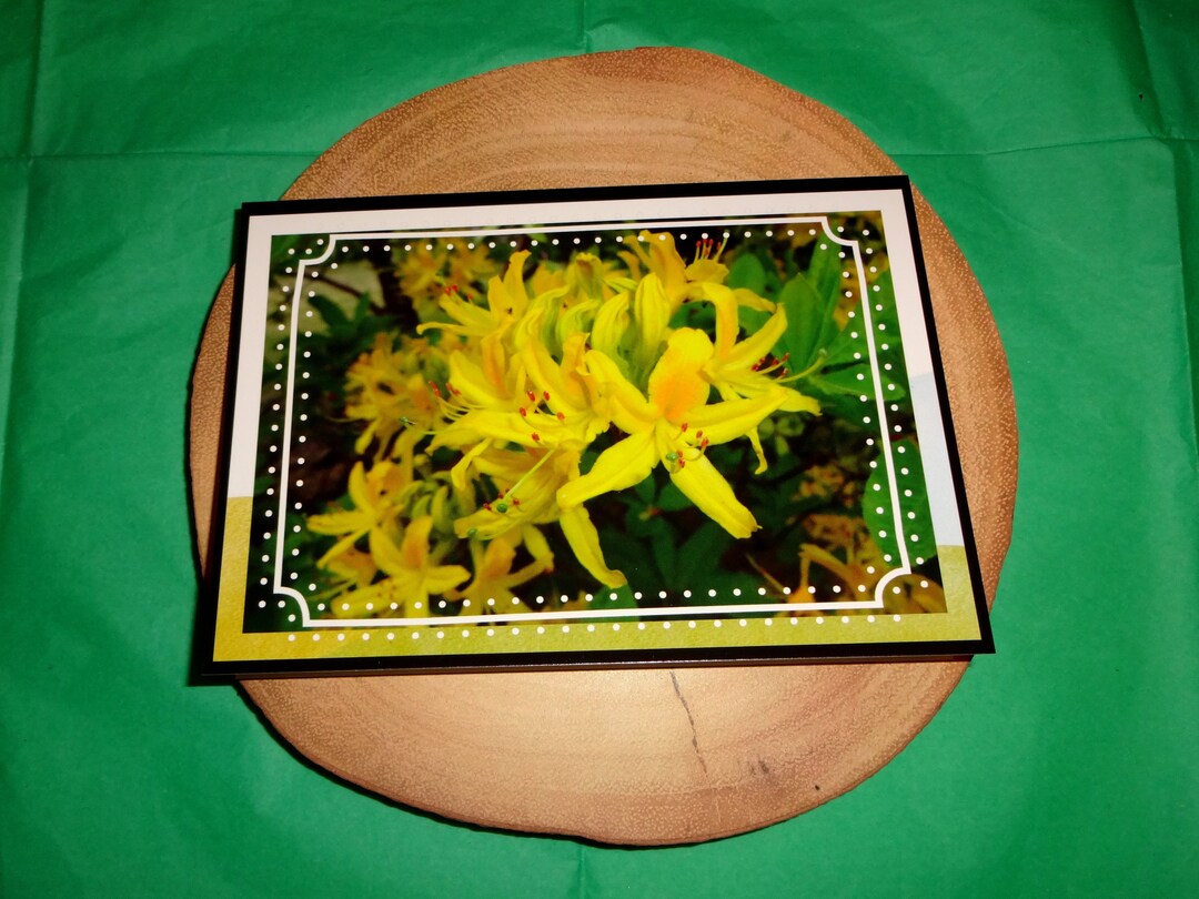 Yellow Azalea Flower Photo Blank Greetings Card Notelet 7” X 5” 17.8cm ...