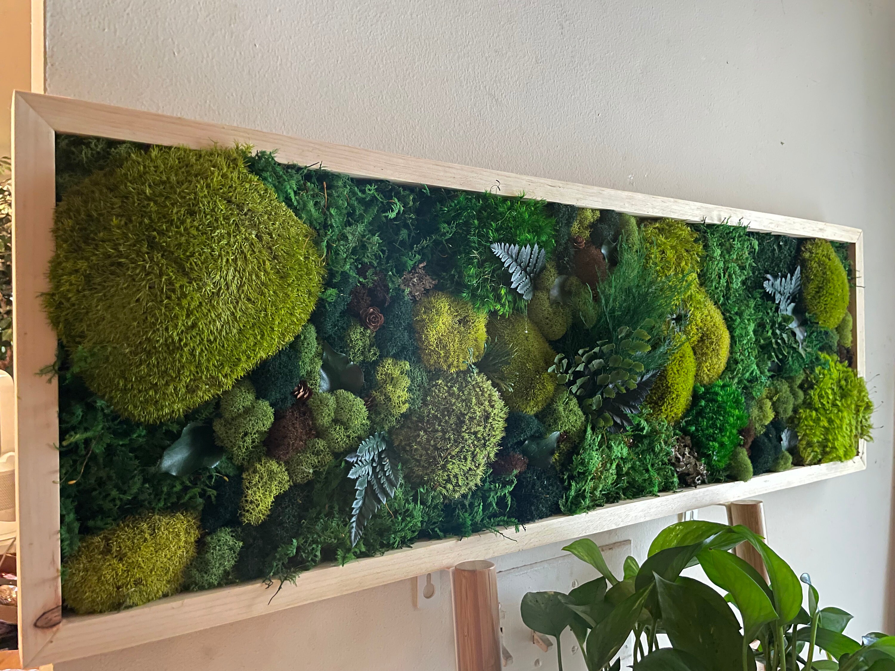 Lush. Large Moss Wall Art Moss Art Work Moss Art Preserved - Etsy Canada