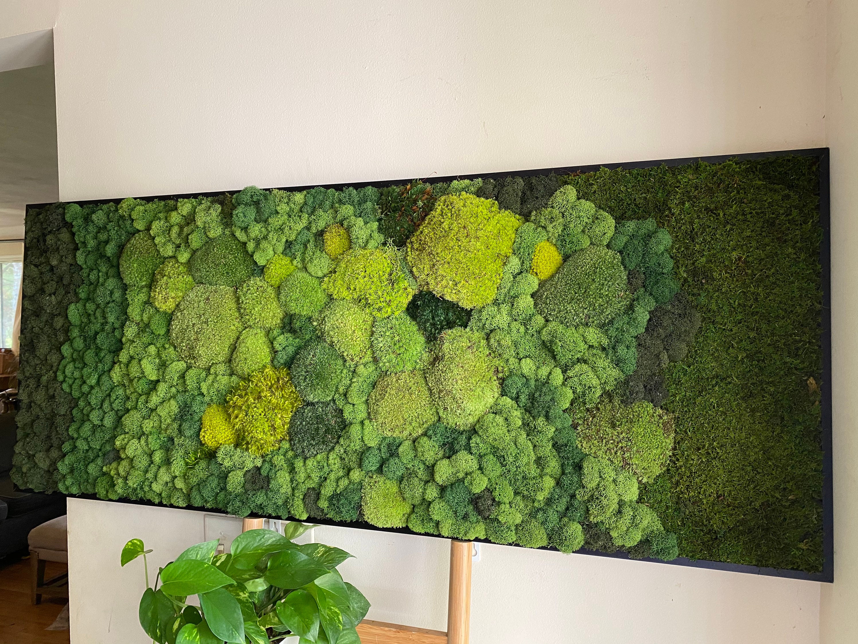 Moss Wall Art Ombré Modern Art Moss Art Work Moss Art | Etsy