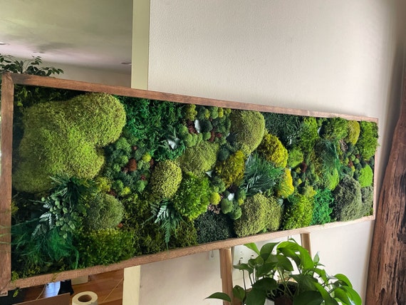 Large Art. Lush. Moss Wall Art Moss Art Work Moss Art - Etsy