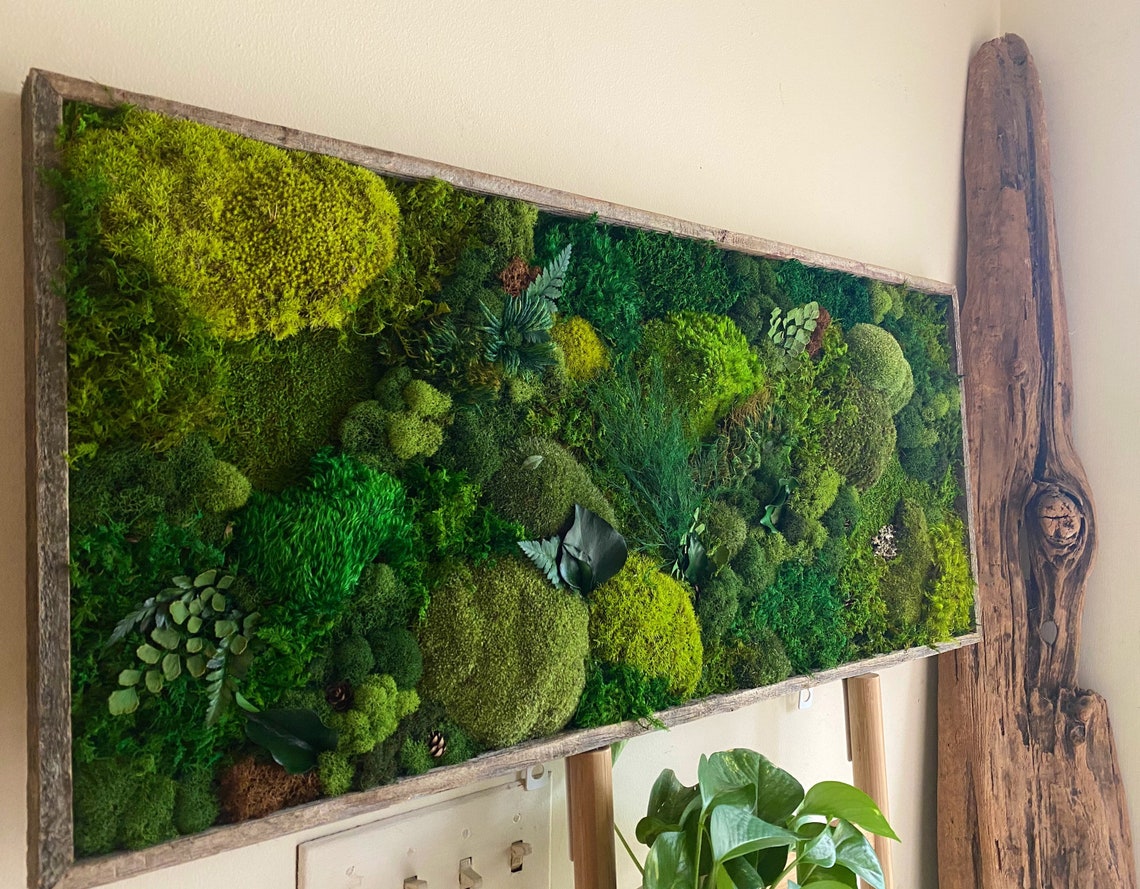 Lush Preserved Moss Art – Barn Wood Frame, No Maintenance, Ships Free ...