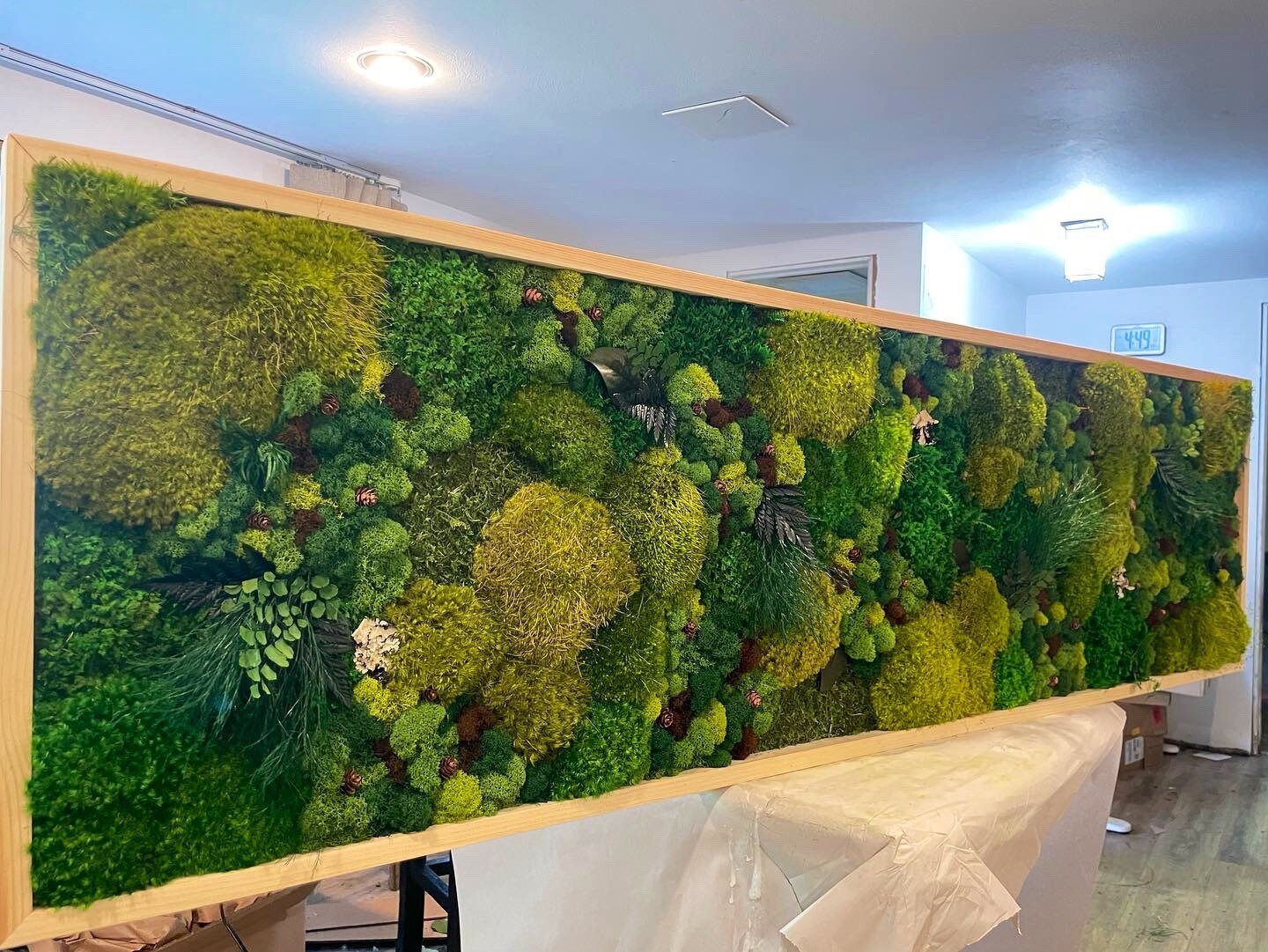 Lush. Large Moss Wall Art Moss Art Work Moss Art Preserved - Etsy Canada