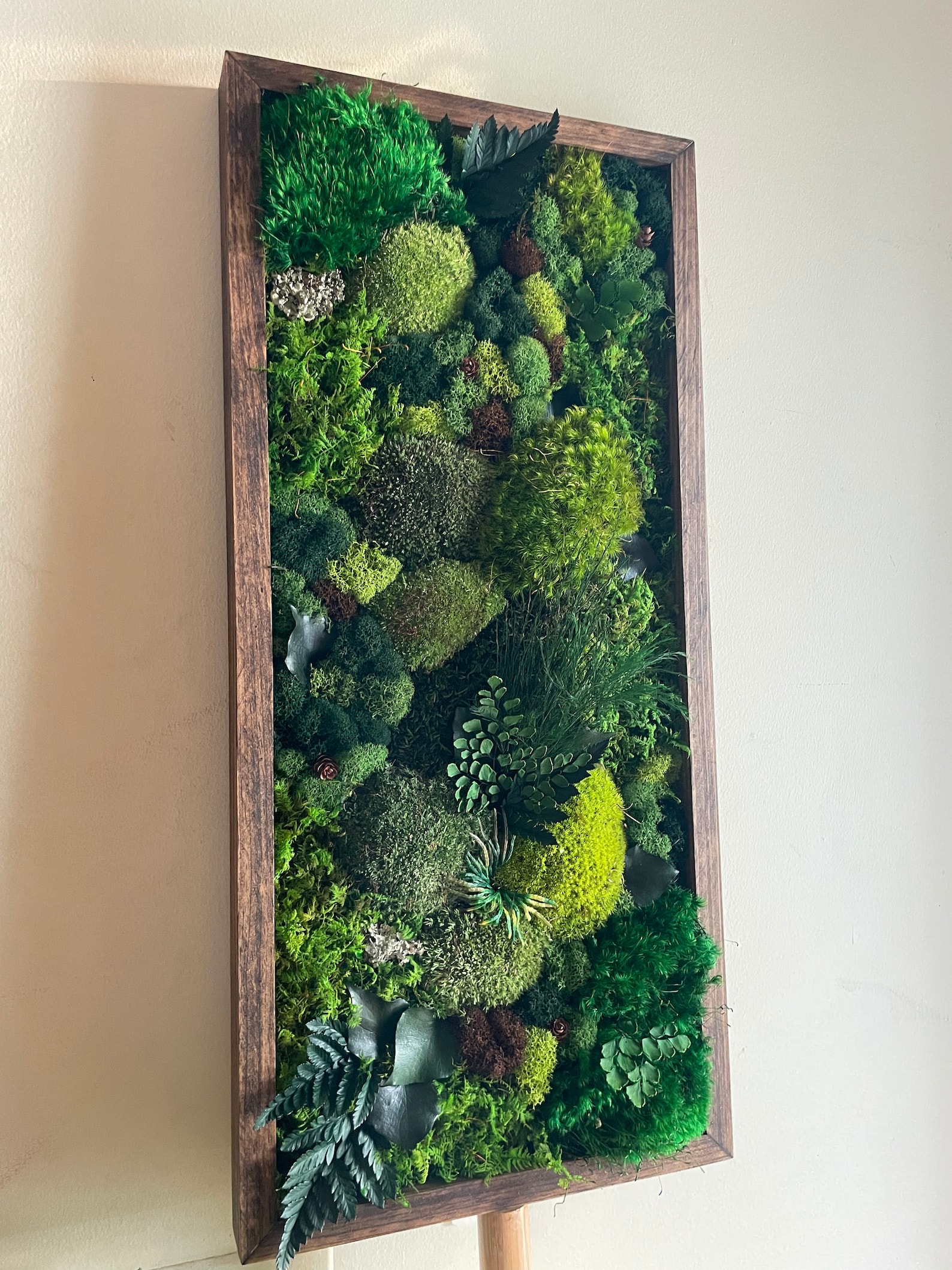 12x16 Moss Art Work Moss Art Preserved Moss Art. Home - Etsy