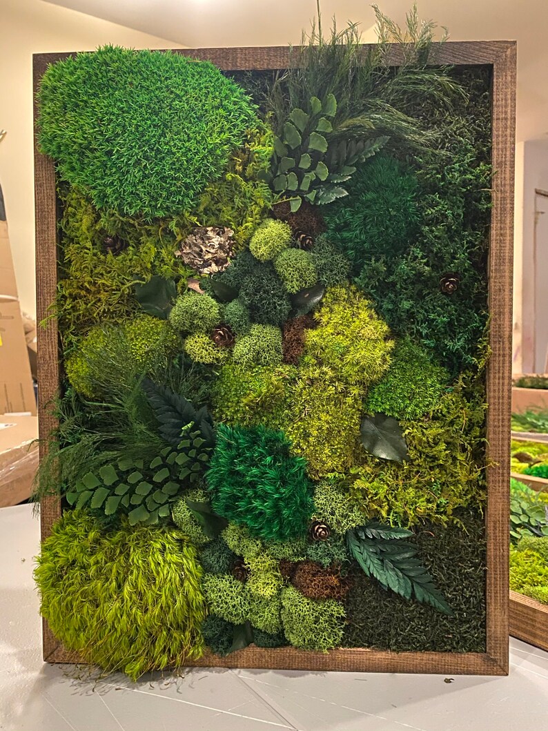 12x16 Moss Art Work Moss Art Preserved Moss Art. Home - Etsy