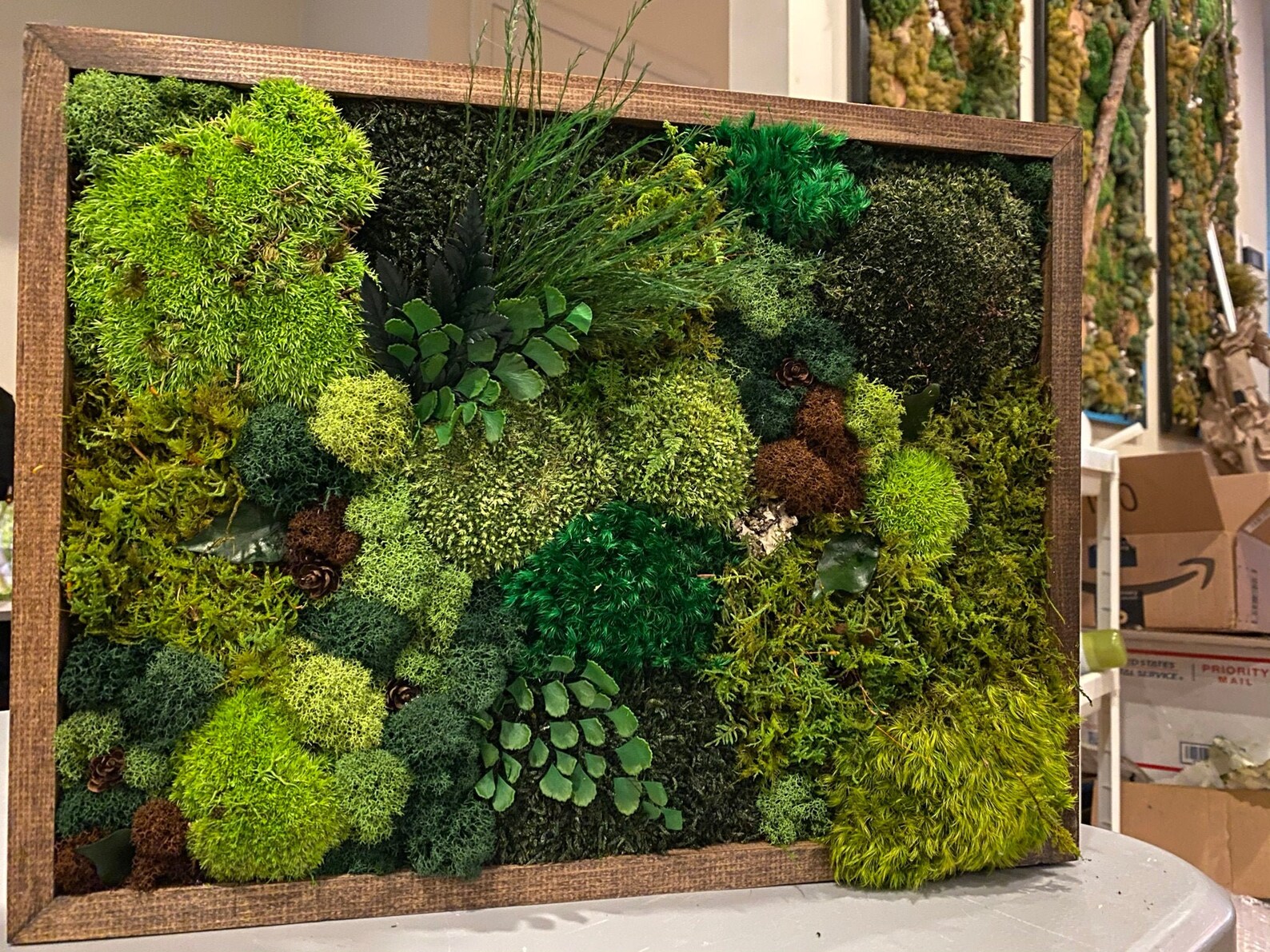 12x16 Moss Art Work Moss Art Preserved Moss Art. Home - Etsy